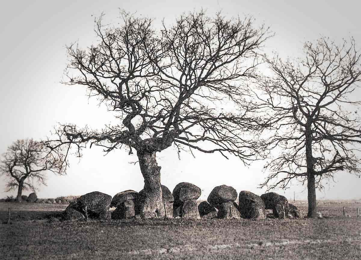 Hunebedden overzicht | Drenthe